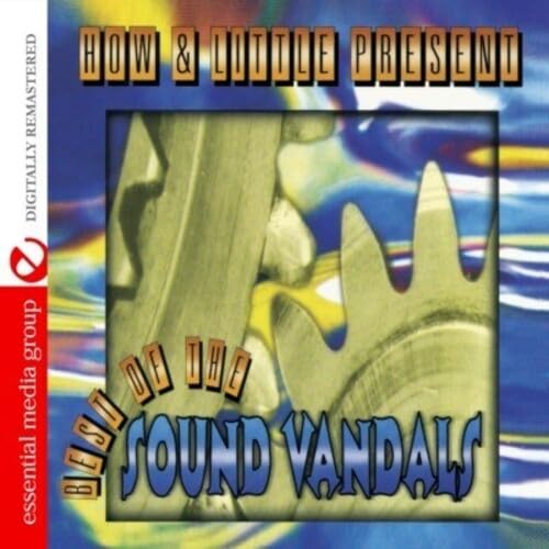 Sound Vandals : How & Little: Amazon.in: Books