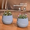 Eha Earth Friendly Oreo 4 inch Small pots for Indoor Plants | Set of 4 ...
