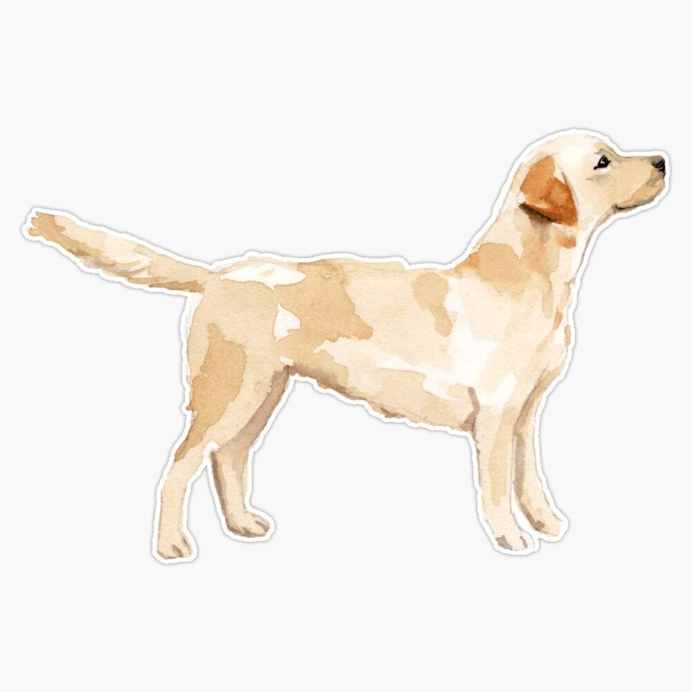 Amazon.com: Yellow Lab Silhouette Watercolor Vinyl Waterproof Sticker ...