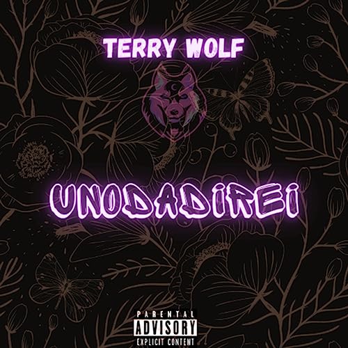 Écouter Unodadirei de Terry Wolf sur Amazon Music
