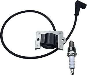 Amazon.com: Ignition Coil for Cummins Onan RV Generator with 21" 573mm ...