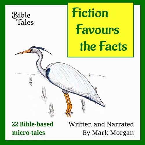 Amazon.com: Fiction Favours the Facts: 22 Bible-based Micro-tales ...