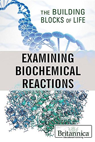 Amazon.com: Examining Biochemical Reactions (The Building Blocks of ...
