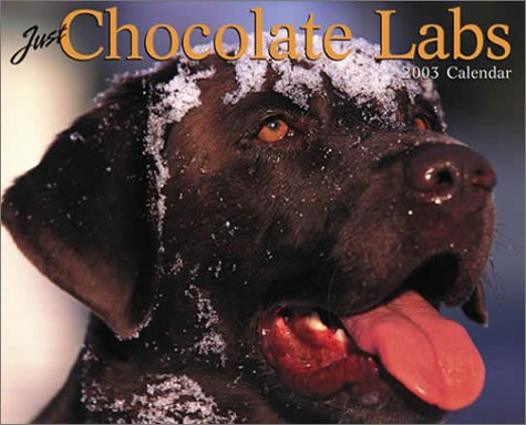 Buy Just Chocolate Labs Book Online at Low Prices in India | Just ...