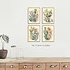 Amazon.com: DXOAGXQ Cactus Posters, Canvas Wall Art Cactus Decor,Cacti ...