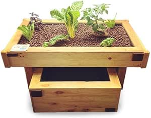Amazon.com: Professional AquaBox Aquaponics Complete System Kit with ...