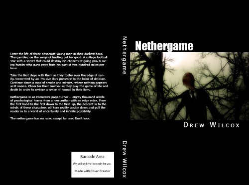 Nethergame eBook : Wilcox, Drew: Amazon.in: Kindle Store