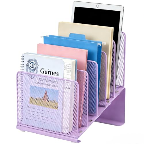 Amazon Best Sellers: Best File Sorters