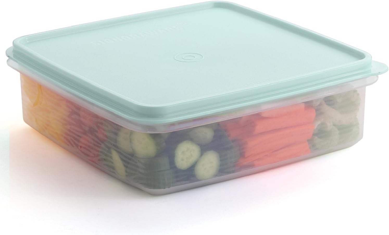 Amazon.com: SIGNORA WARE Plastic Storage Container with Lid – 3L ...