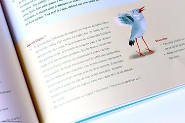 Le grand livre du bonheur pour les enfants : Bormans, Leo, Van Doninck, Sebastiaan: Amazon.fr ...