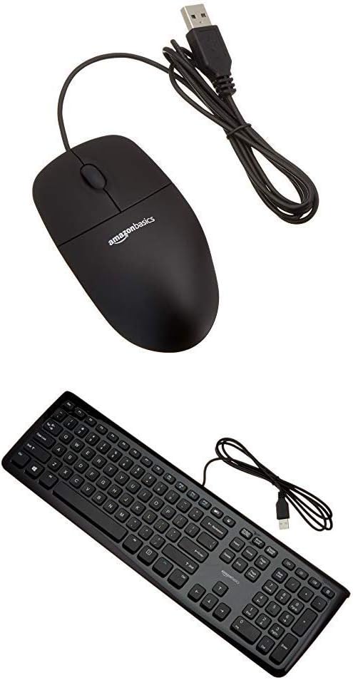 Amazon Basics Keyboard and 3-Button USB Mouse Combo : Amazon.ca ...