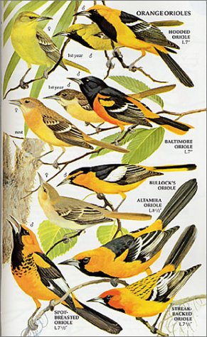 The 30 Bird Field Guides To Read In April 2025 - Cherry Picks