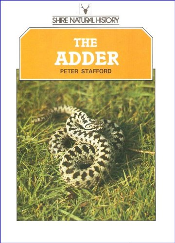 The Adder : Buy Online at Best Price in KSA - Souq is now Amazon.sa: Books