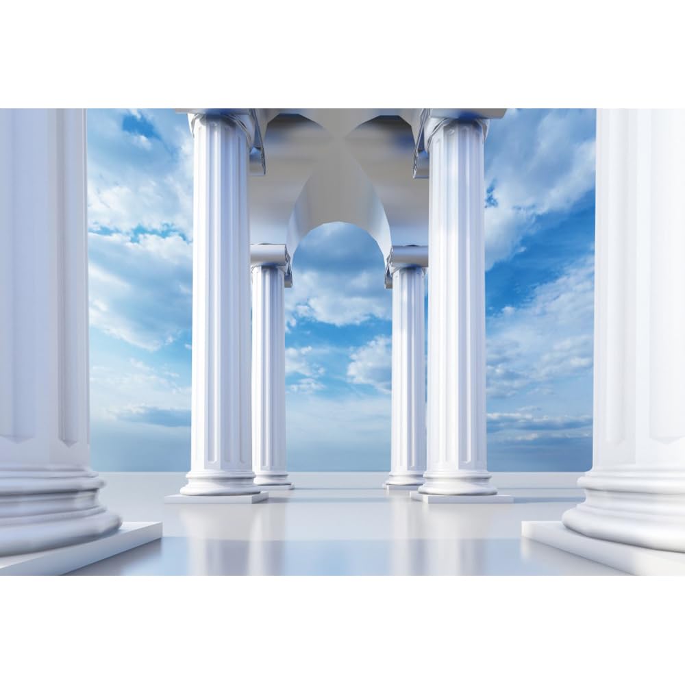 Amazon.com : Laeacco 10x8ft Heaven Theme Backdrop White Paradise Palace ...