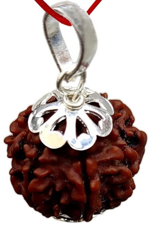 BluDiamond 5 Mukhi Rudraksha Original Certified Pendent Pure Five Face ...