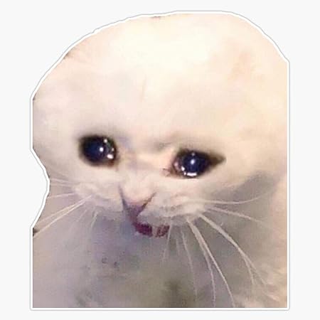 Amazon.com: Sad Cat Sticker Vinyl Bumper Sticker Decal Waterproof 5 ...