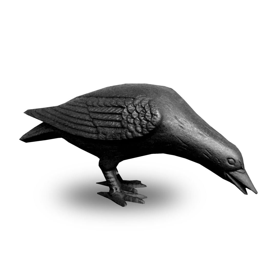 Crow Head Living On Earth: BirdNote® Ravens And Crows