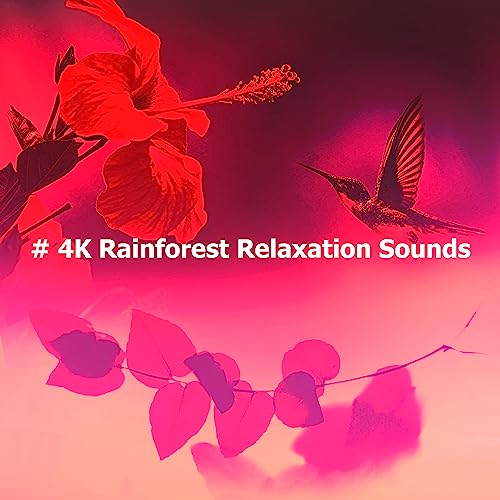 # 4K Rainforest Relaxation Sounds : Rainforest Music Therapy: Amazon.de ...