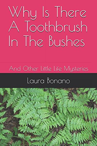 Why Is There A Toothbrush In The Bushes: And Other Little Life ...
