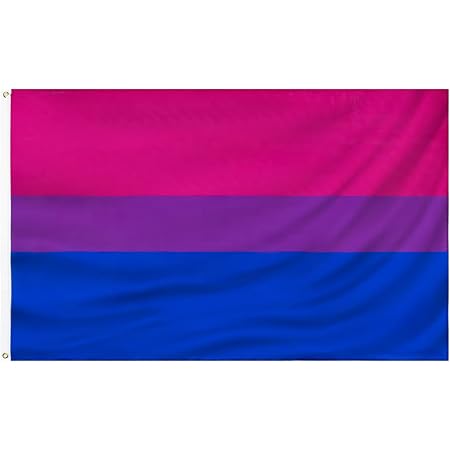 Amazon.com : DecoVibe Bi Flag 3x5 Ft for Indoor Wall Decor - Vibrant ...