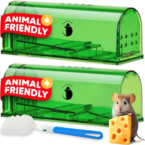 Top 10 Best No Kill Mouse Trap : Reviews & Buying Guide - Katynel