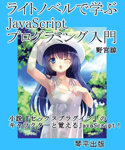 Jp ライトノベルで学ぶjavascriptプログラミング入門 小説『セックスプラグイン』のキャラクターと覚えるjavascript! Ebook 野宮諒 本