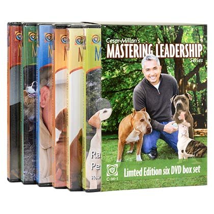 Amazon.com: Cesar Millan Mastering Leadership 6 Volume DVD Box Set ...
