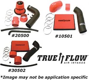 Amazon.com: True Flow 22500 Cold-Air and Short Ram Intake Systems - Air ...