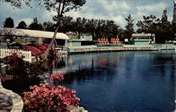 Weeki Wachee Spring Weeki Wachee, Florida FL Original Vintage Postcard ...