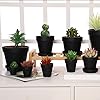 Amazon.com: Yishang 2 inch Black Small Terracotta Pots with Drainage ...