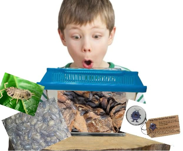 Amazon.com: Roly Poly Farm(Assorted Colors), Pocket Habitat, and Roly ...