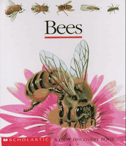 Bees (First Discovery): Jeunesse, Gallimard: 9780590937801: Amazon.com ...