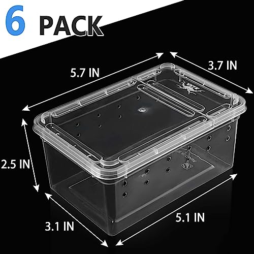 Snapklik.com : 6 Pcs Spider Terrariums Breeding Box Insect Container ...