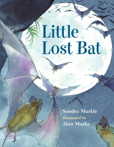 Little Lost Bat: Markle, Sandra: 9781570916571: Amazon.com: Books