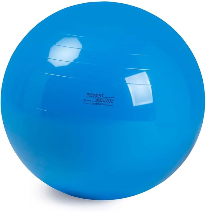 Amazon.com: GYMNIC Physio Exercise Ball : Sports & Outdoors