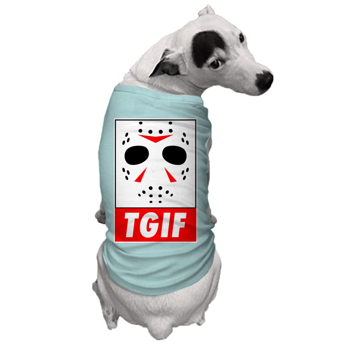 Imágenes De Perros Tgif Lindos Perros Sonrientes Celebrando Fiestas