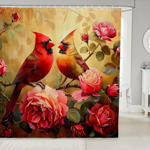 Amazon.com: AUIKVH Winter Robin Red Cardinal Bird Shower Curtains for ...