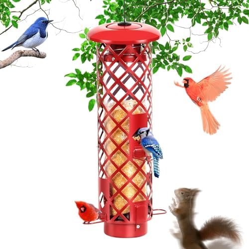 Amazon.com : Squirrel Proof Bird Feeder,Metal Mesh Bird Feeders for ...
