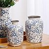 Amazon.com: Denique Vintage Blue and White Porcelain Vase Ceramic Vase ...