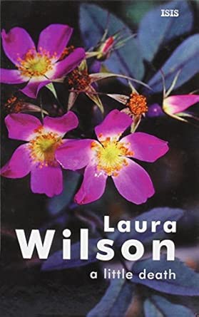 A Little Death: Wilson, Laura: 9780753166772: Books - Amazon.ca
