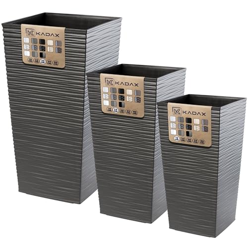 Vasi alti da interno design: scopri i modelli più trendy