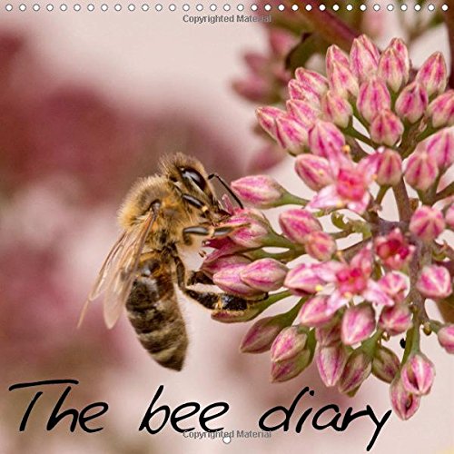 The bee diary 2015: Carniolan bees collecting nectar and pollen ...