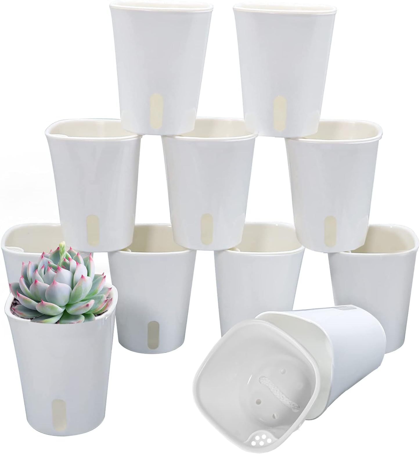 Amazon.com : Thorkok 3.2 Inch Self Watering Planters Plastic Planter ...