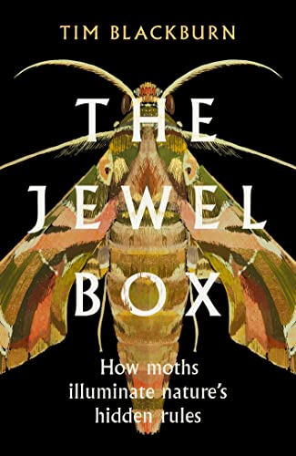 Amazon | The Jewel Box: How Moths Illuminate Nature’s Hidden Rules ...