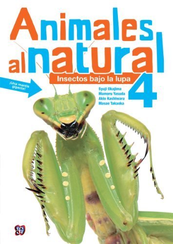 Animales al natural 4. Insectos bajo la lupa (Spanish Edition) by Takaoka, Masae y Mamoru Yasuda ...