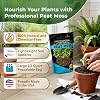 Amazon.com : Professional Peat Moss for Plants 2.2 Quarts, Organic Peat ...