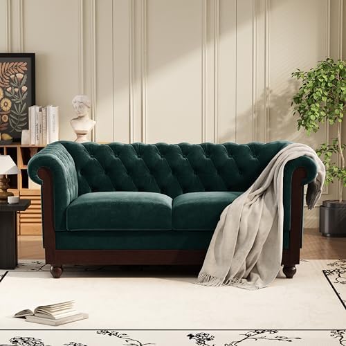 Amazon.com: Christopher Knight Home Chesterfield Velvet Loveseat, 2 ...