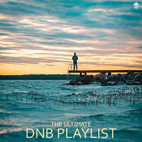 Amazon.com: The Ultimate DnB Playlist : VARIOUS ARTISTS: Digital Music