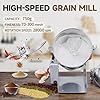 Amazon.com: Goldtouch 750g Grain Mill Grinder 2800W Electric Stainless ...