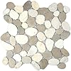 Sliced Java Tan and White Pebble Tile Sample - Stone Tiles - Amazon.com
